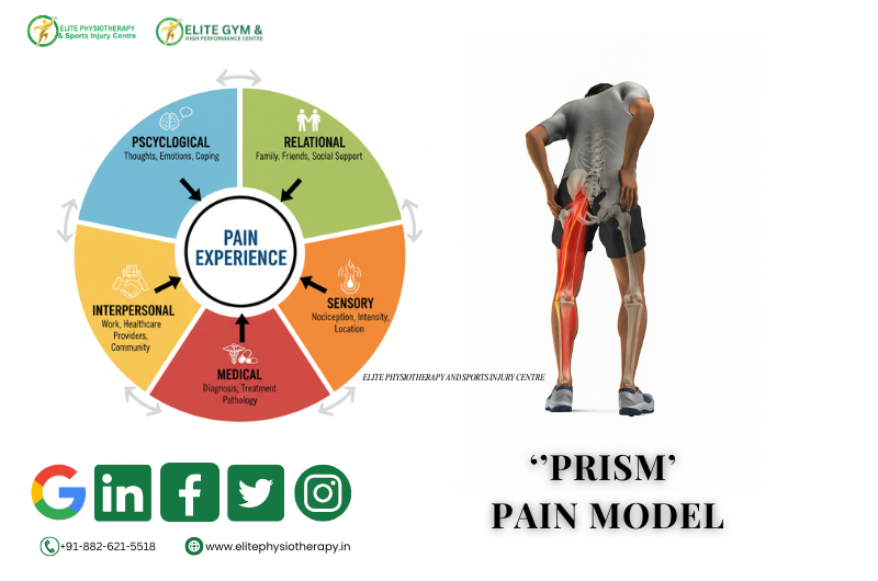 PRISM Pain Model & Modern Pain Science: Elite Physiotherapy